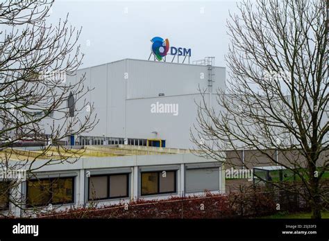 Dsm Logo Dsm Is A Dutch Multinational Corporation Active In The Fields