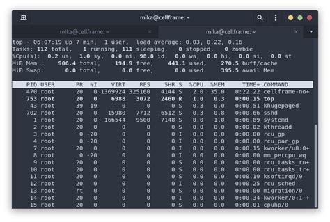 Benching Multiple Cellframe Nodes On A Raspberry Pi