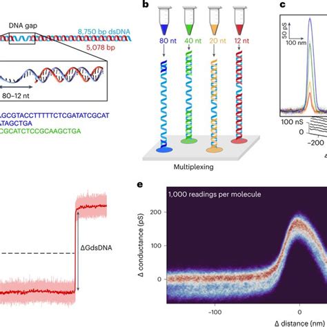 Controlled Translocations Of Single Molecules With Nanopore Based Download Scientific Diagram