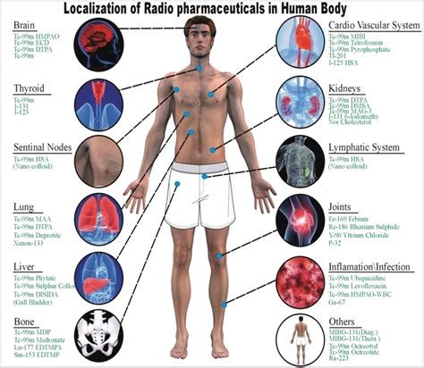Clinical Application Of Tc 99m And Other Radionuclides Labeled Download Scientific Diagram