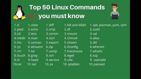 Devops Class 19 Basic Linux Commands Linux Aws Youtube