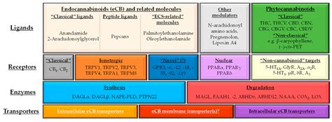 Ijms Free Fulltext The Effects Of Tio2 Nanoparticles