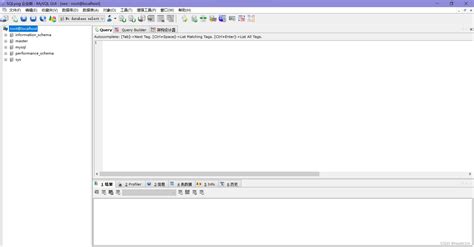 Sqlyog下载及安装 Csdn博客