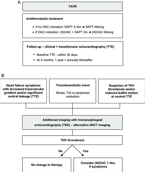 Algorithm For The Follow Up Of Tavr Patients Considering The Risk For Download Scientific