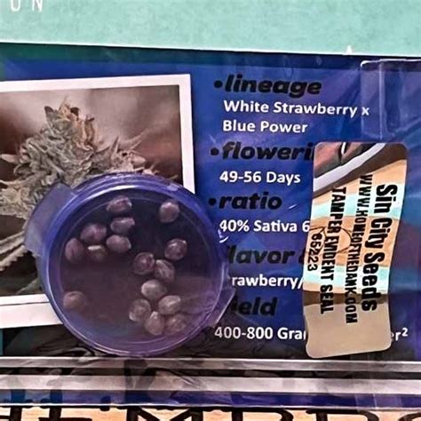 Sin City Seeds Raskal Berries F2 15 Regular Seeds Gaslamp Seeds