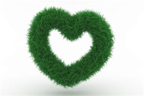 Premium Photo Close Up Of Heart Shape Grass Against White Background