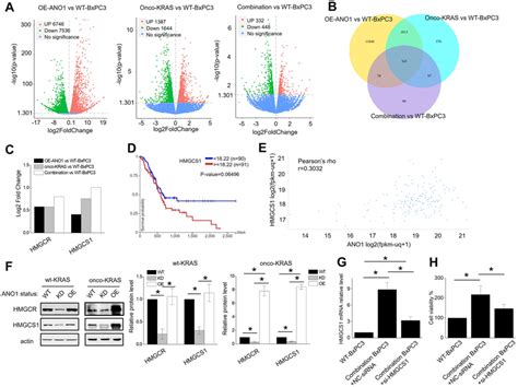 A Differentially Expressed Gene Analysis From Rna Seq Data Generated