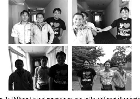 figure 1 from fuzzy based illumination normalization for face