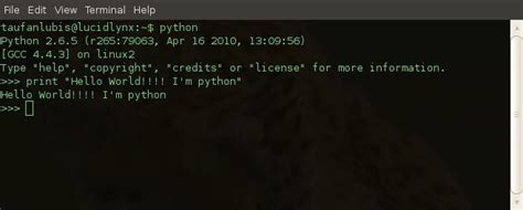 Como Instalar Python Para Programar 2024