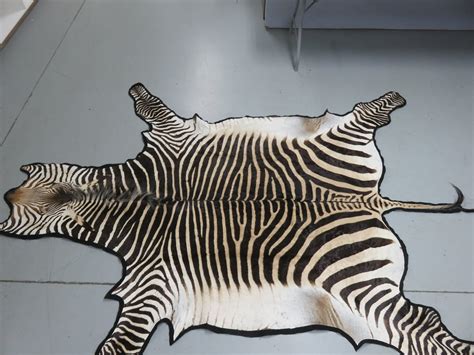 Zebra Rug Zebra Rugs For Sale
