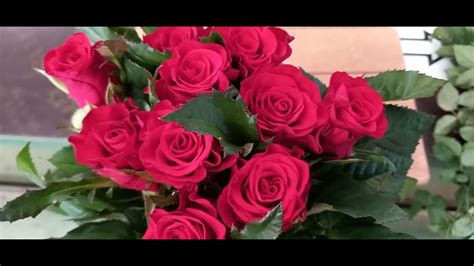 딤플장미 생화 꽃집 꽃집창업 꽃값 온라인꽃시장 온라인꽃도매 인터넷꽃시장 인터넷꽃도매 서울꽃시장 꽃농장 꽃배송 생화배송 생화도매 생화택배 꽃배달 생화배달 생화주문 생화부케