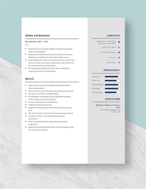 Associate Analyst Resume In Pages Word Download