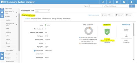 Remote Infrastructure Management Ontap 93 Svm Root Volume Protection