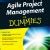 Agile Project Management For Dummies Cheat Sheet Dummies