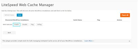 How To Enable LiteSpeed Web Cache Manager On CPanel
