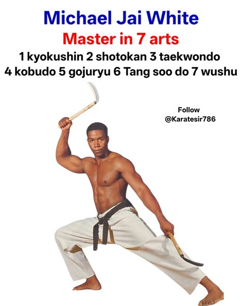 Karate Michael Jai White Is A Respected Actor And A Highly Skilled