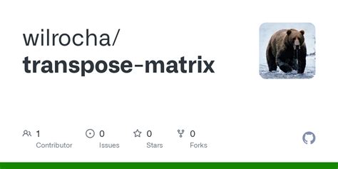 GitHub Wilrocha Transpose Matrix