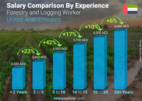 Forestry And Logging Worker Average Salary In United Arab Emirates 2024 The Complete Guide