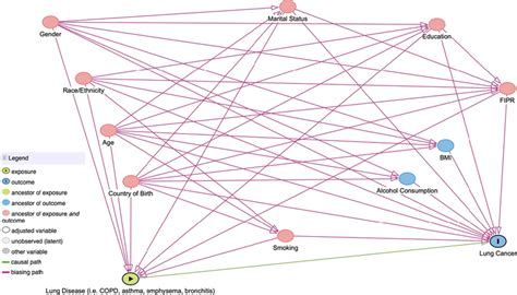 Directed Acyclic Graph Dag Illustrating The Assumed Causal
