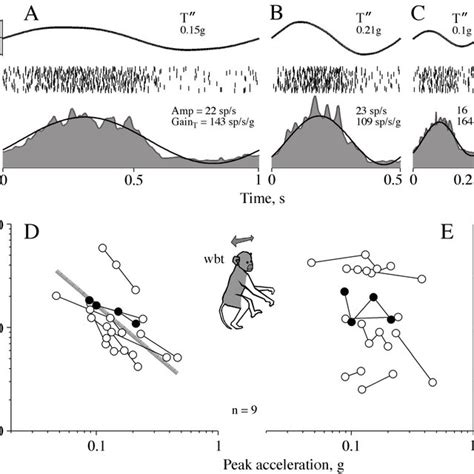 Rotational Response As A Function Of Angular Stimulus Frequency A C Download Scientific