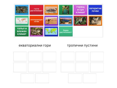 Природни зони Group Sort