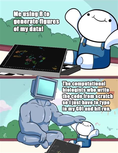 Bioinformatics Lifesciences Datascience Researchsupport Innovation