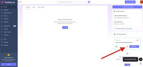 What Is Firefliesai