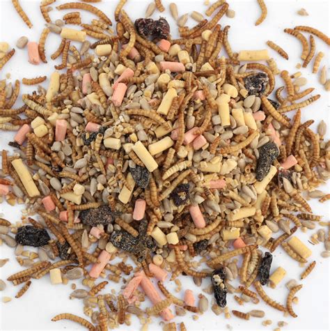 Robin Bird Food Kennedy Wild Bird Food