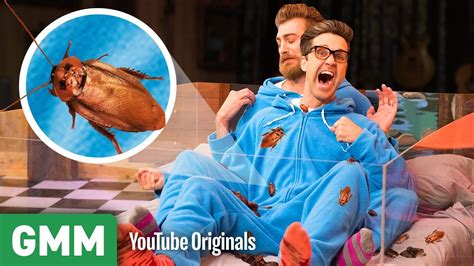 Cockroach Cuddling Challenge Youtube