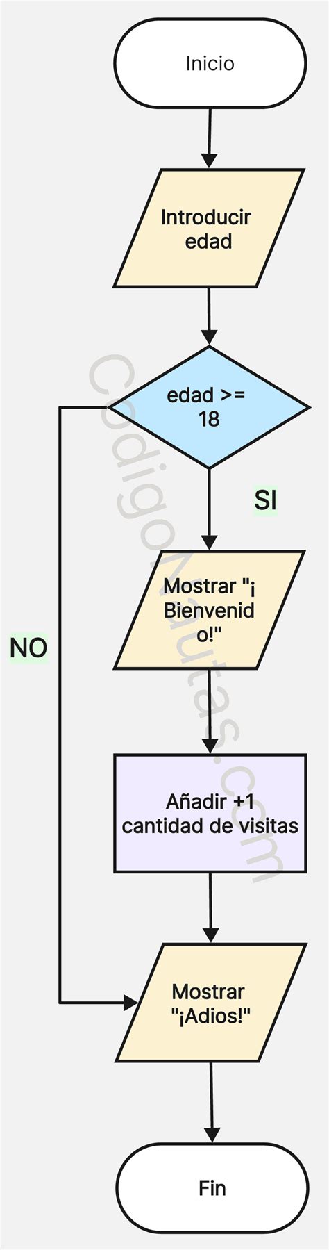 Qué Son Los Algoritmos Tipos Y Guía Completa Codigonautas