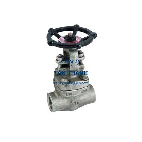 Forged Stainless Steel Gate Valve Socket Weld