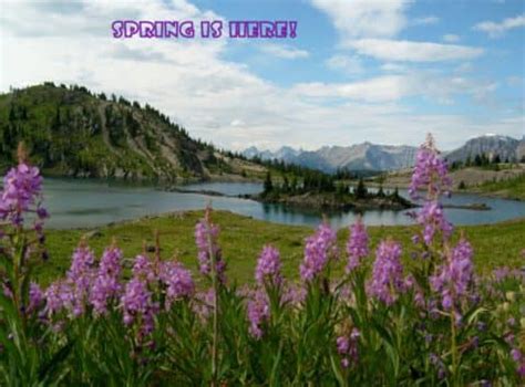 How To Add Text To Photos Corel Discovery Center