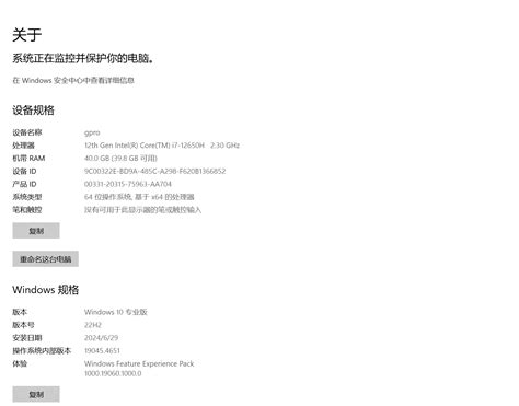 打开了应用但是软件界面没有显示是咋回事？附上本机配置图片，win10 22h2等信息，有大神分析一下吗 Codemap 论坛