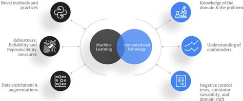 Syed Ashar Javed On Linkedin Heres Our Recent Work On How Ml Model Evaluation Needs To Be