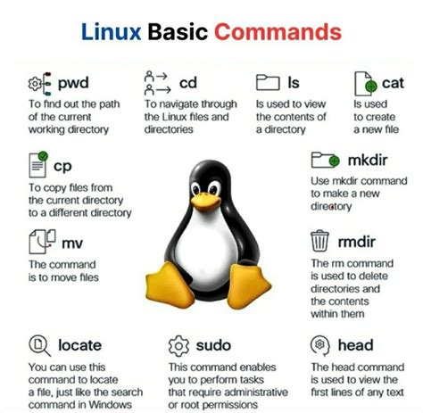 Linuxbasics Linuxcommands Learnlinux Codingtips Terminalcommands
