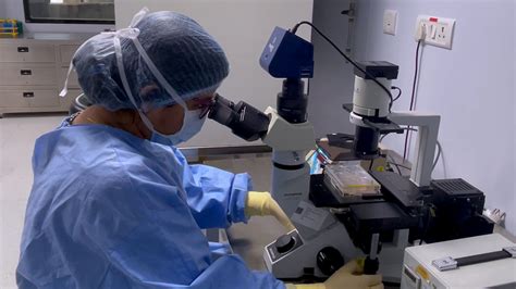 Video Generation Of Retinal Organoids From Healthy And Retinal Disease