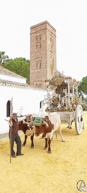 Galería Estampas Rocieras Con La Hdad De Sevilla 9 De 9 Fco Javier