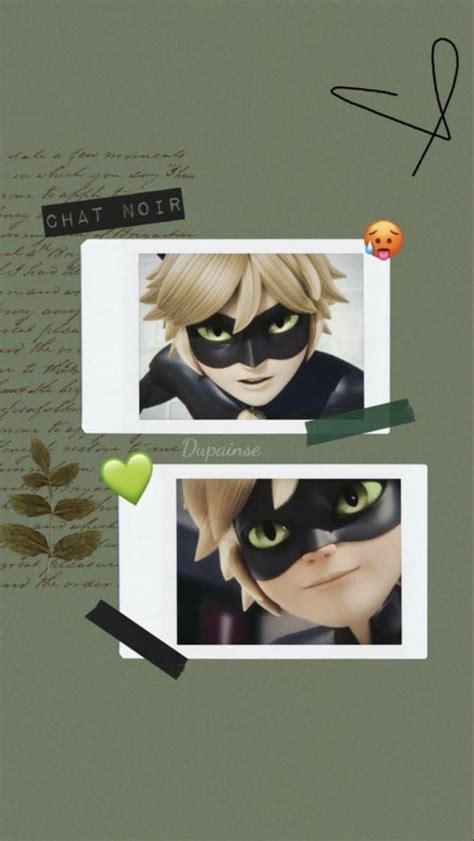 Cat Noir Aesthetic Wallpaper Collage At Max Bowser Blog