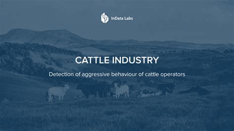 Video How Ai For Cattle Industry Can Prevent Aggression Computer Vision And Ocr Posted On