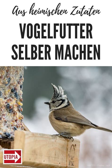Vogelfutter Selber Machen Mischung Mit Heimischen Zutaten