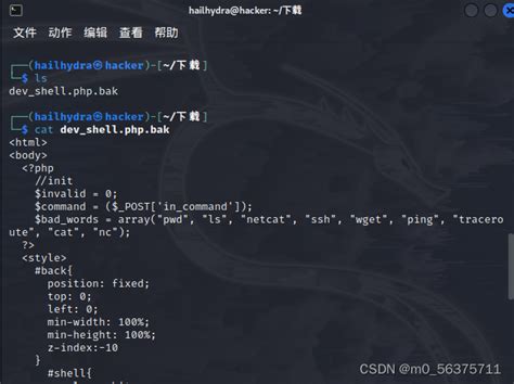 bob靶机攻击记录 bobv2靶机 csdn博客