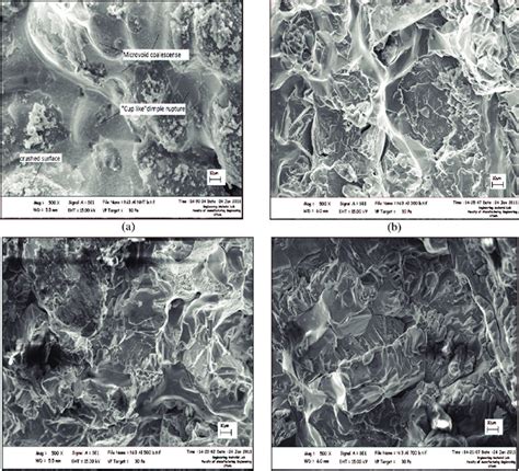 500 X Magnification Micrographs Showing Fracture Surface Of Ni 3 Al Download Scientific