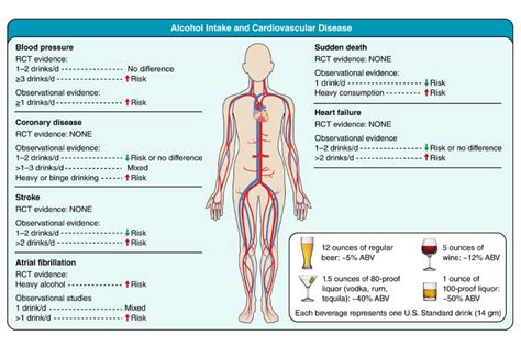Alcohol Use And Cardiovascular Disease Professional Heart Daily