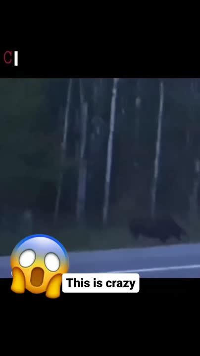 The Supernatural University On Linkedin Paranormal Cryptids Monster