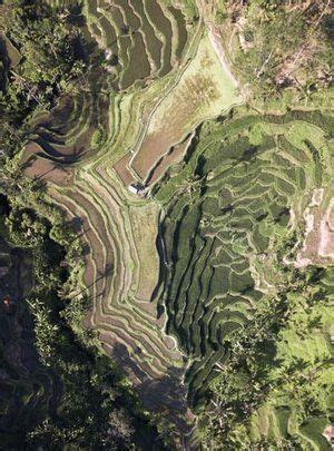 ¿qué Es La Fotografía Aérea ¡aprende A Hacerlas Y Ejemplos Fotografia Aerea Cursos De