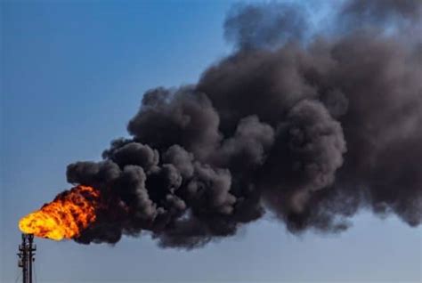 Various Types And Effects Of Pollution Conserve Energy Future