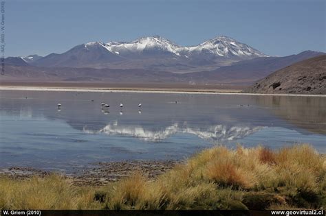 Laguna Santa Rosa Región De Atacama Chile