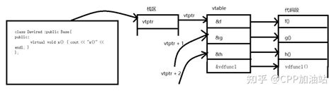 C 面试必问：深入理解虚函数表 知乎