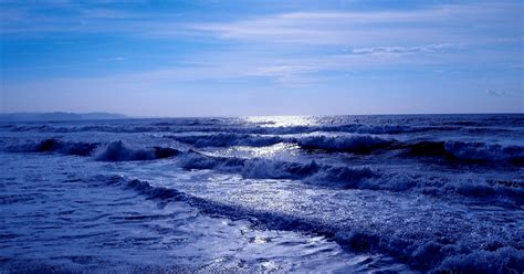 日々 2024 08 20｜sylow