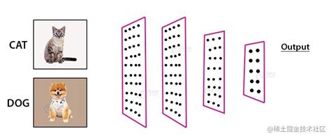 深度学习实战：卷积神经网络识别猫狗 掘金